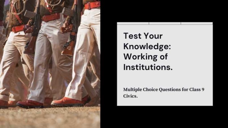 MCQ Questions for Class 9 Civics Chapter 4 Working of Institutions