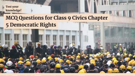 MCQ Questions for Class 9 Civics Chapter 5 Democratic Rights