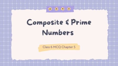 Prime Time Class 6 MCQ Chapter 5