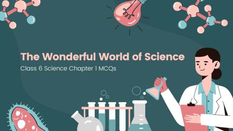 The Wonderful World of Science Class 6 Science Chapter 1 MCQs