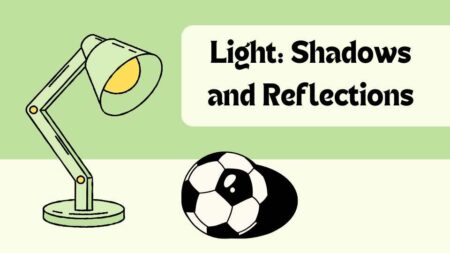 Light: Shadows and Reflections Class 7 Science Chapter 11 MCQ