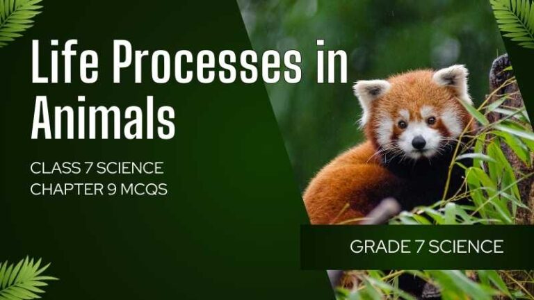 Life Processes in Animals Class 7 Science Chapter 9 MCQs